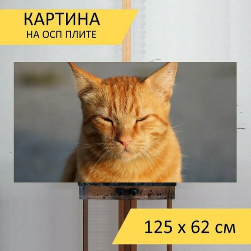 Картина на ОСП 125х62 см. "Кошка, животное, домашний питомец" горизонтальная, для интерьера, с креплениями