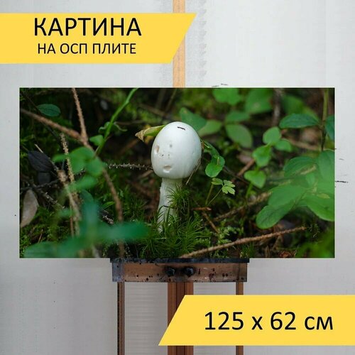 Картина на ОСП 125х62 см. "Природа, гриб, лес" горизонтальная, для интерьера, с креплениями