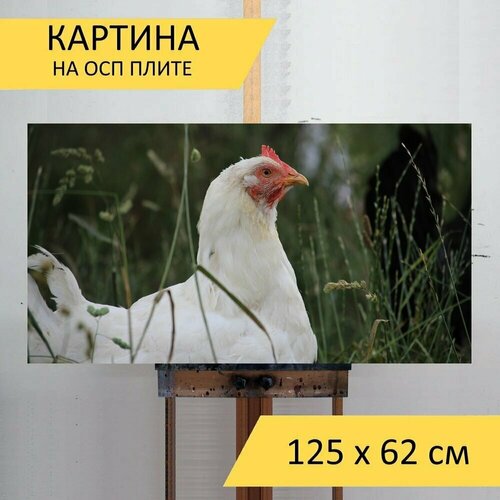Картина на ОСП 125х62 см. "Белый, курица, трава" горизонтальная, для интерьера, с креплениями