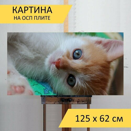 Картина на ОСП 125х62 см. "Кот, кошка ребенок, красный" горизонтальная, для интерьера, с креплениями