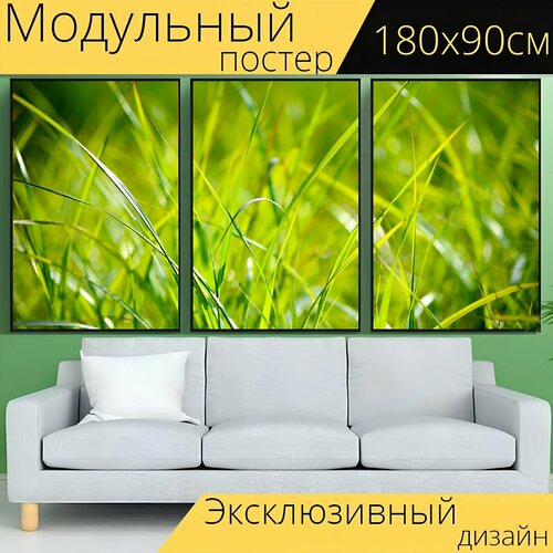 Модульный постер "Трава, поле, фон" 180 x 90 см. для интерьера