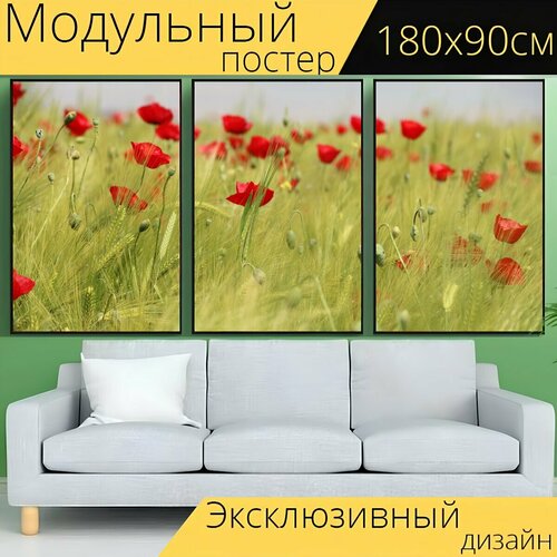Модульный постер "Мак самосейка, цветок, трава" 180 x 90 см. для интерьера