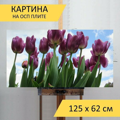 Картина на ОСП 125х62 см. "Тюльпаны, весна, розовый" горизонтальная, для интерьера, с креплениями