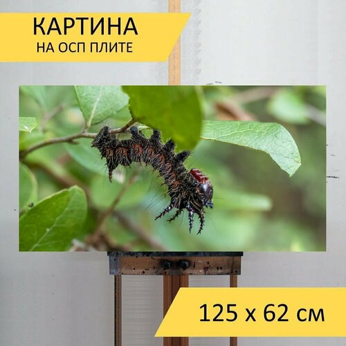 Картина на ОСП 125х62 см. "Гусеница, насекомое, жук" горизонтальная, для интерьера, с креплениями