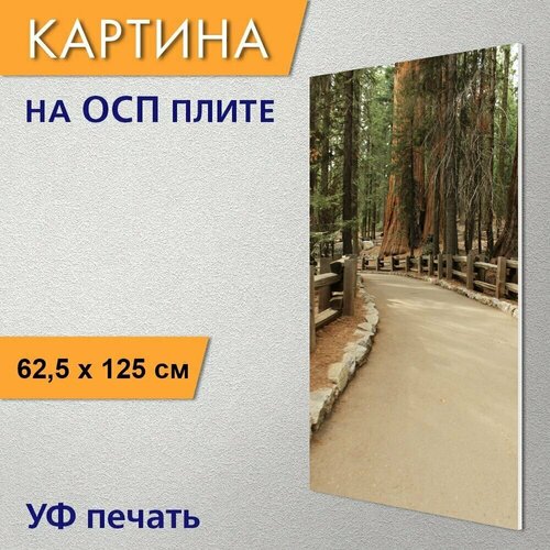 Вертикальная картина на ОСП "Тащить, лес, секвойя" 62x125 см. для интерьериа