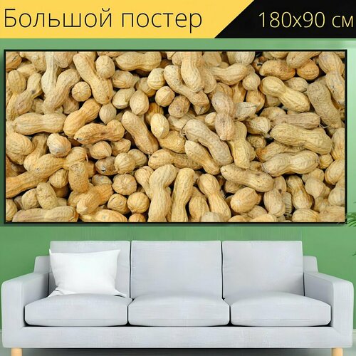 Большой постер "Арахис, орехи, еда" 180 x 90 см. для интерьера