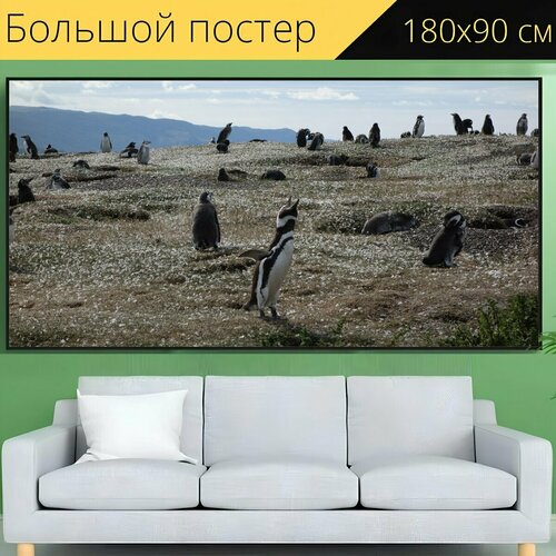 Большой постер "Природа, пингвины, животное" 180 x 90 см. для интерьера