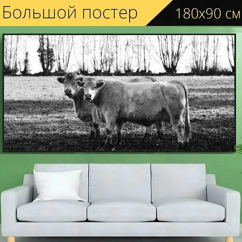 Большой постер "Млекопитающее, домашний скот, агропромышленность" 180 x 90 см. для интерьера