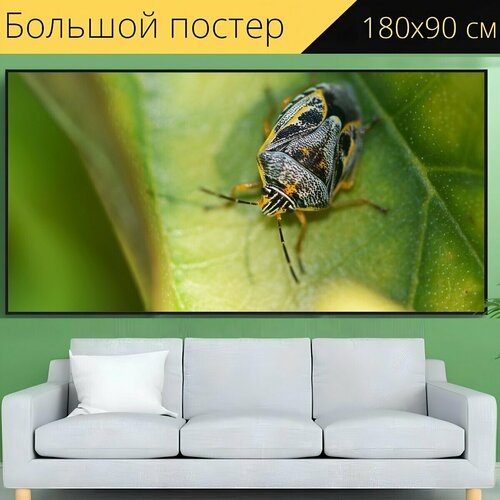 Большой постер "Насекомое, жук, насекомое" 180 x 90 см. для интерьера