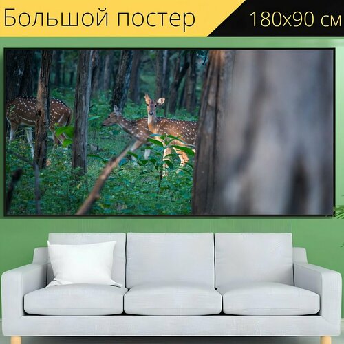 Большой постер "Пятнистый олень, олень, лес" 180 x 90 см. для интерьера