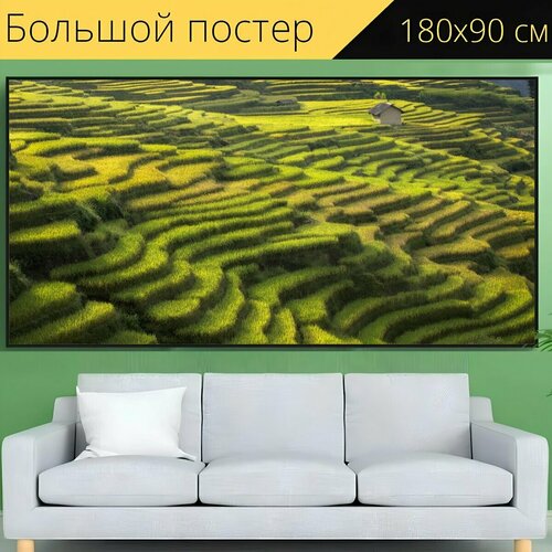 Большой постер "Рисовые террасы, полях, плантация" 180 x 90 см. для интерьера