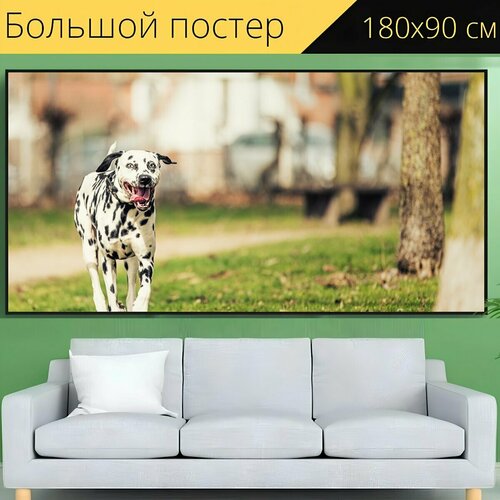 Большой постер "Далматинец, собака, пятна" 180 x 90 см. для интерьера