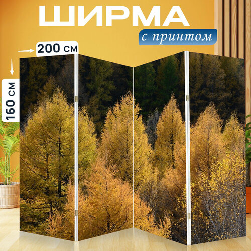 Ширма перегородка с принтом "Осень, желтый, дерево" на холсте - 200x160 см. для зонирования, раскладная