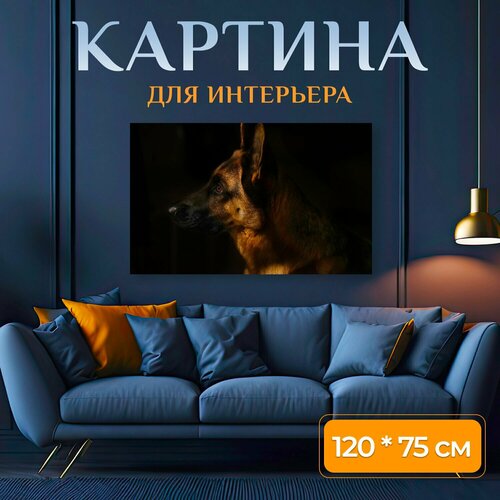 Картина на холсте "Немецкая овчарка, собака волк, животные" на подрамнике 120х75 см. для интерьера
