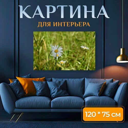 Картина на холсте "Цветок, маргарита, природный завод" на подрамнике 120х75 см. для интерьера