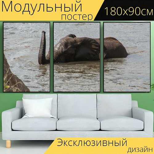 Модульный постер "Южная африка, слон, вода" 180 x 90 см. для интерьера