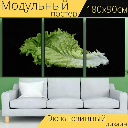 Модульный постер "Лист, еда, салат" 180 x 90 см. для интерьера