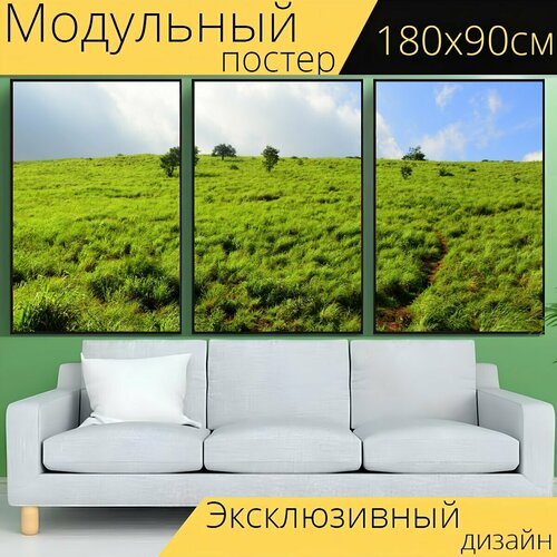Модульный постер "Холм, лимонная трава, небо" 180 x 90 см. для интерьера