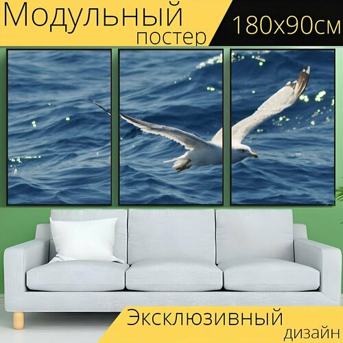 Модульный постер "Чайки, птицы, море" 180 x 90 см. для интерьера