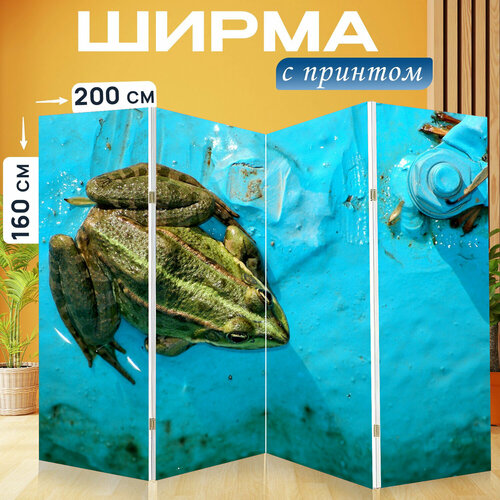 Ширма перегородка с принтом "Лягушка, амфибия, животное" на холсте - 200x160 см. для зонирования, раскладная