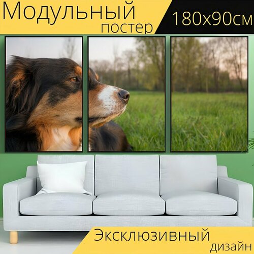 Модульный постер "Расслабленный, собака, собака расслаблена" 180 x 90 см. для интерьера