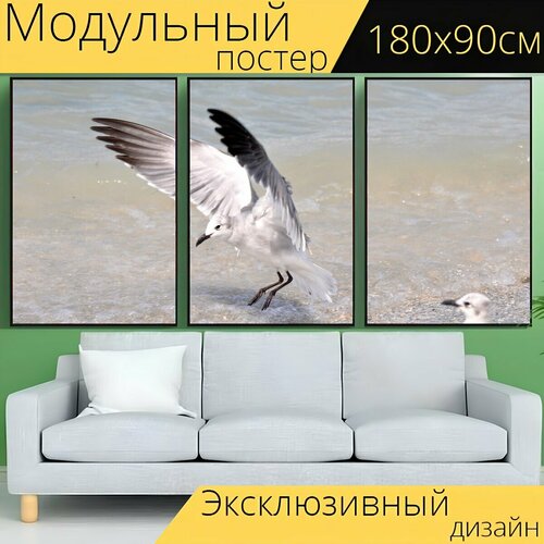 Модульный постер "Птица, чайки, залив" 180 x 90 см. для интерьера