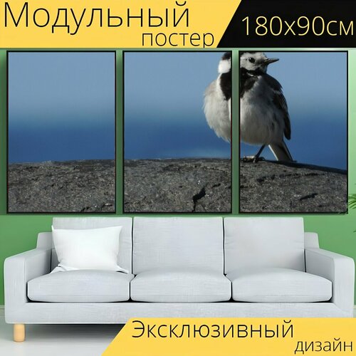 Модульный постер "Птица, маленький, закрыть" 180 x 90 см. для интерьера