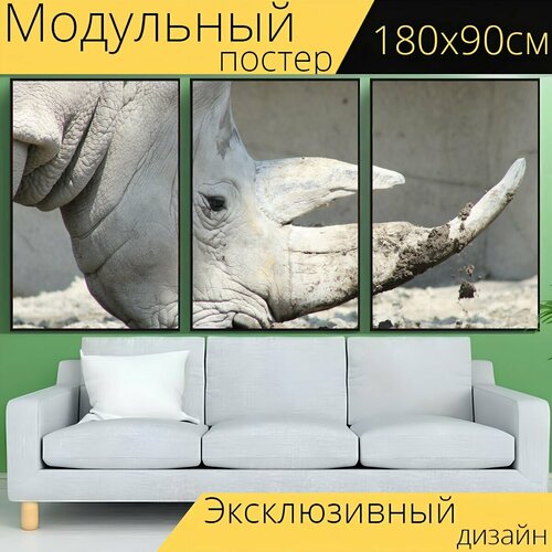 Модульный постер "Носорог, животное, дикий" 180 x 90 см. для интерьера