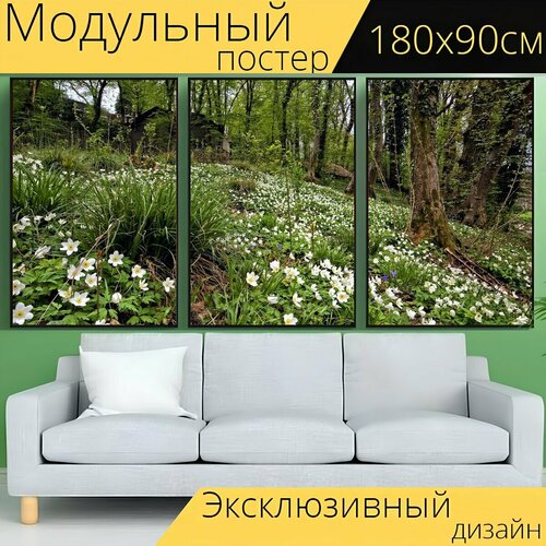 Модульный постер "Ветреница, цветы, дикие растения" 180 x 90 см. для интерьера