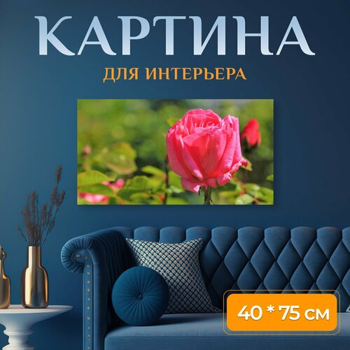 Картина на холсте "Розы, весна, природа" на подрамнике 75х40 см. для интерьера
