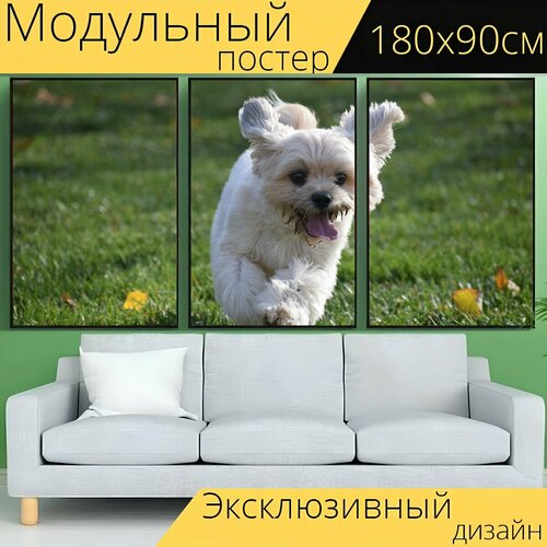 Модульный постер "Собака, щенок, милый" 180 x 90 см. для интерьера