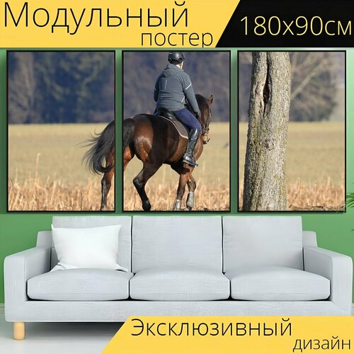 Модульный постер "Верховая езда, лошадь, поле" 180 x 90 см. для интерьера