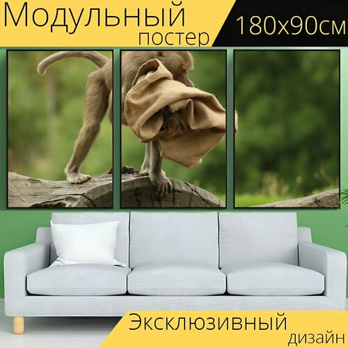 Модульный постер "Бабуин, мешок, древесина" 180 x 90 см. для интерьера