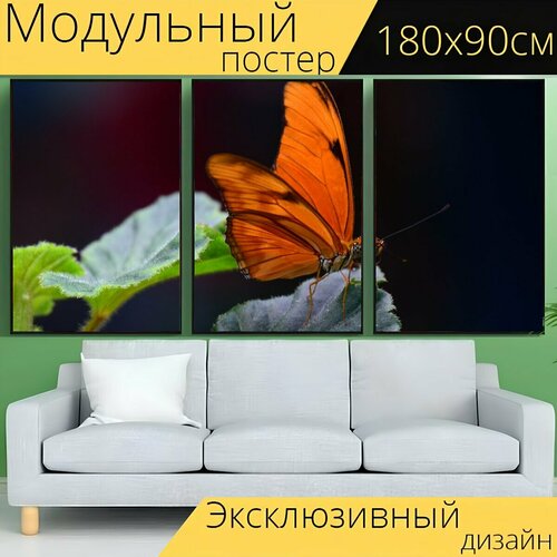 Модульный постер "Юлия бабочка, факел, апельсин" 180 x 90 см. для интерьера