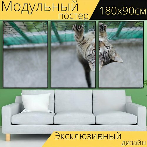 Модульный постер "Кошка, полосатый кот, тигровый" 180 x 90 см. для интерьера
