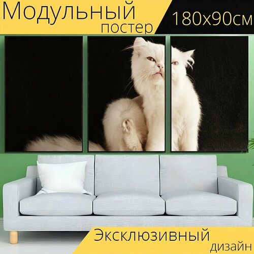 Модульный постер "Кошка, милый, дауни" 180 x 90 см. для интерьера