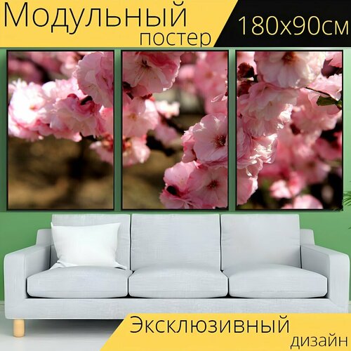 Модульный постер "Весна, цветение персика, цветок" 180 x 90 см. для интерьера