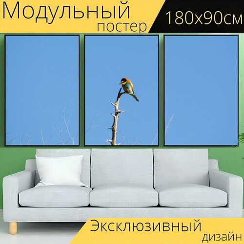 Модульный постер "Птица, природа, золотистая щурка" 180 x 90 см. для интерьера