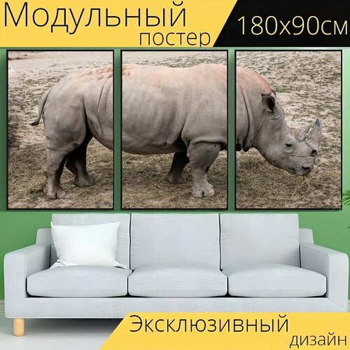 Модульный постер "Носорог, животное, сафари" 180 x 90 см. для интерьера