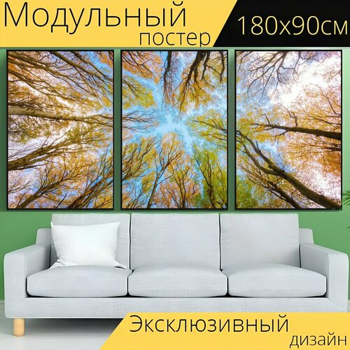 Модульный постер "Деревья, навес дерева, лес" 180 x 90 см. для интерьера