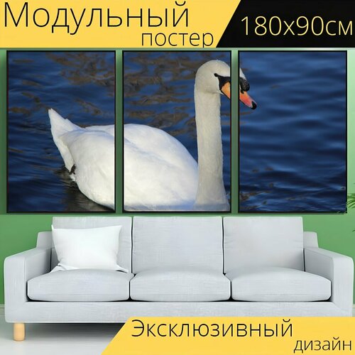 Модульный постер "Птица, водоплавающая птица, лебедь" 180 x 90 см. для интерьера