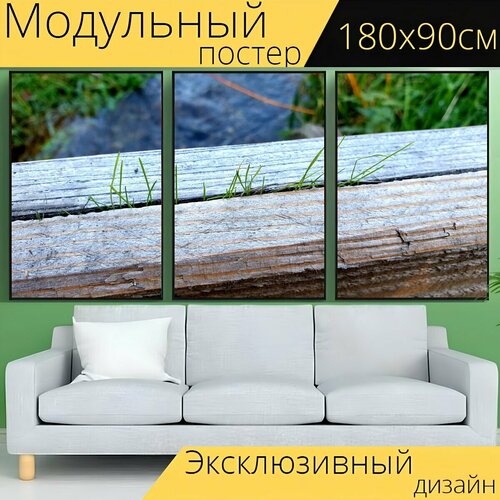 Модульный постер "Природа, древесина, трава" 180 x 90 см. для интерьера