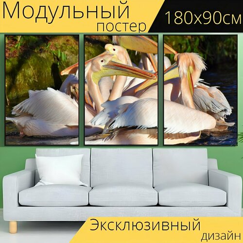 Модульный постер "Пеликан, водоплавающая птица, розовый пеликан" 180 x 90 см. для интерьера