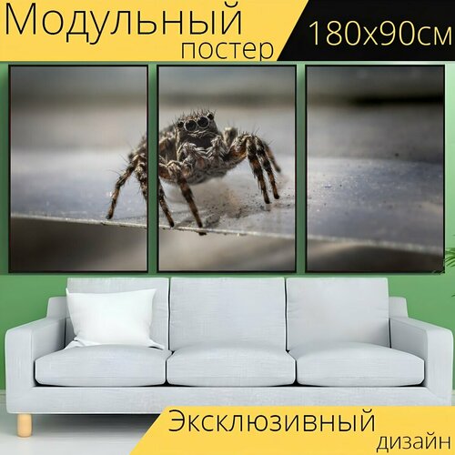 Модульный постер "Зебра, паук, прыжки" 180 x 90 см. для интерьера