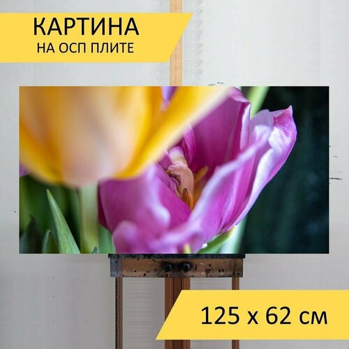 Картина на ОСП 125х62 см. "Цветок тюльпана, тюльпан, цветок" горизонтальная, для интерьера, с креплениями