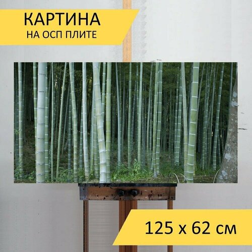 Картина на ОСП 125х62 см. "Япония, деревья, бамбук" горизонтальная, для интерьера, с креплениями