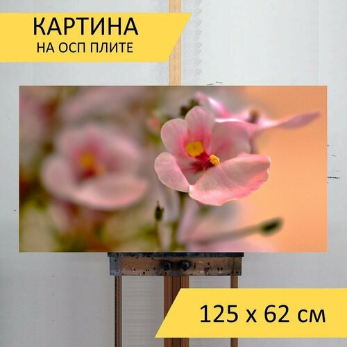 Картина на ОСП 125х62 см. "Цветы, розовый, мечтательный" горизонтальная, для интерьера, с креплениями