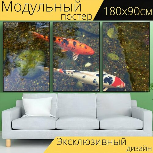 Модульный постер "Рыбы, карп, озеро" 180 x 90 см. для интерьера