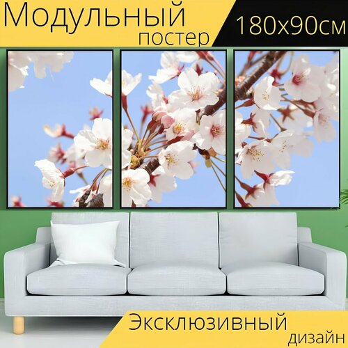 Модульный постер "Природные, цветы, весна" 180 x 90 см. для интерьера