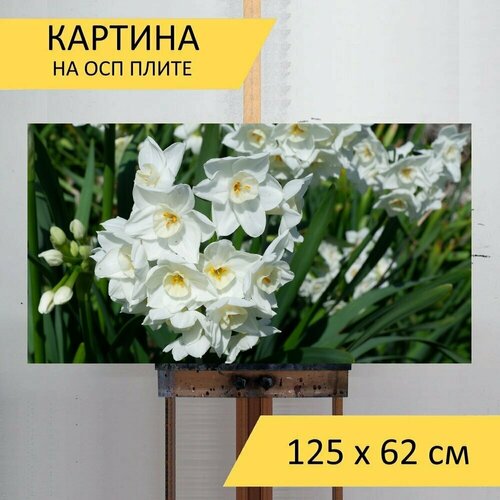 Картина на ОСП 125х62 см. "Белый, цветы, нарцисс" горизонтальная, для интерьера, с креплениями
